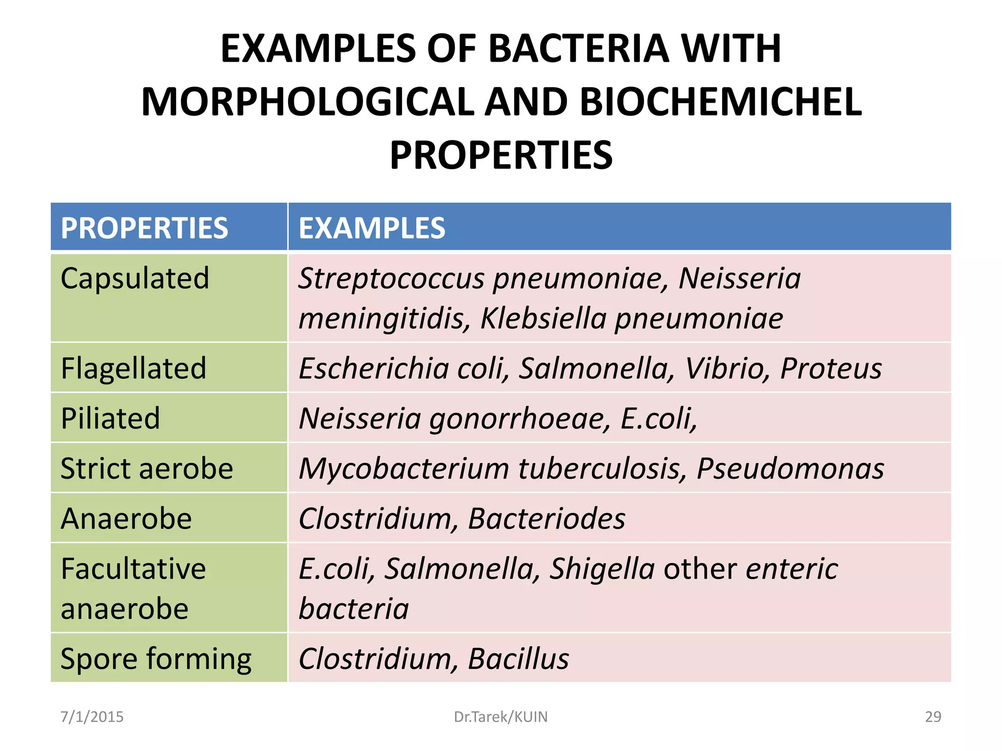 Bacterial morphology I | PPT