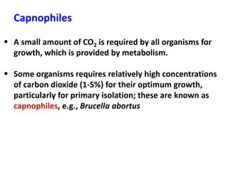 bacterial nutrient microbiology 2024.pdf