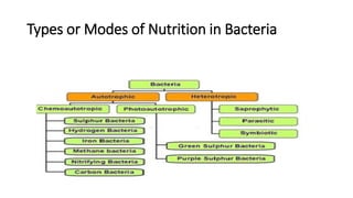 Bacterial nutritin.pptx