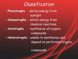 Bacterial nutrition | PPT