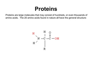 Bacterial nutrition | PPT