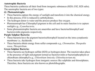 Bacterial nutrTTTTTTTTTTTTTTTTition.pptx