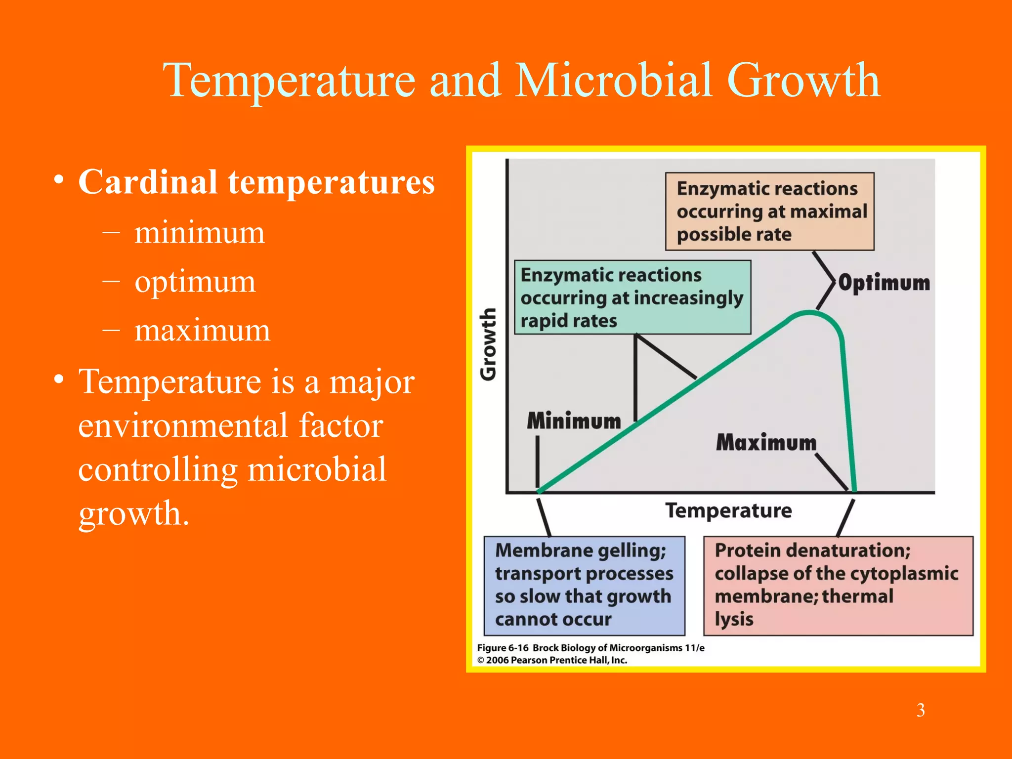 Bacterial nutrition and growth | PPT