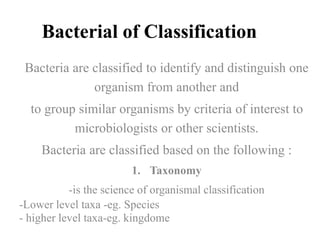 Bacterial of Classification.pptx | Biological Sciences | Science