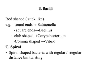 Bacterial of Classification.pptx | Biological Sciences | Science