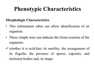 Bacterial of Classification.pptx | Biological Sciences | Science