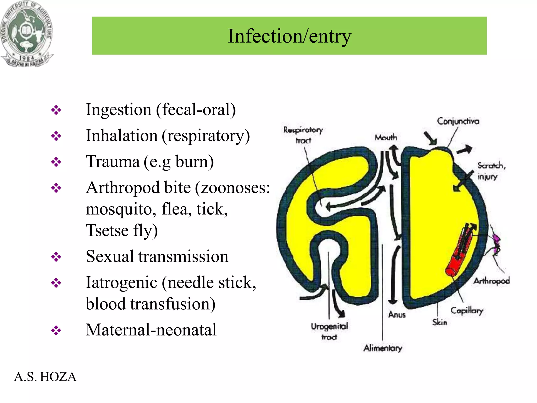 bacterialpathogenesis-120607022339-phpapp02.pptx