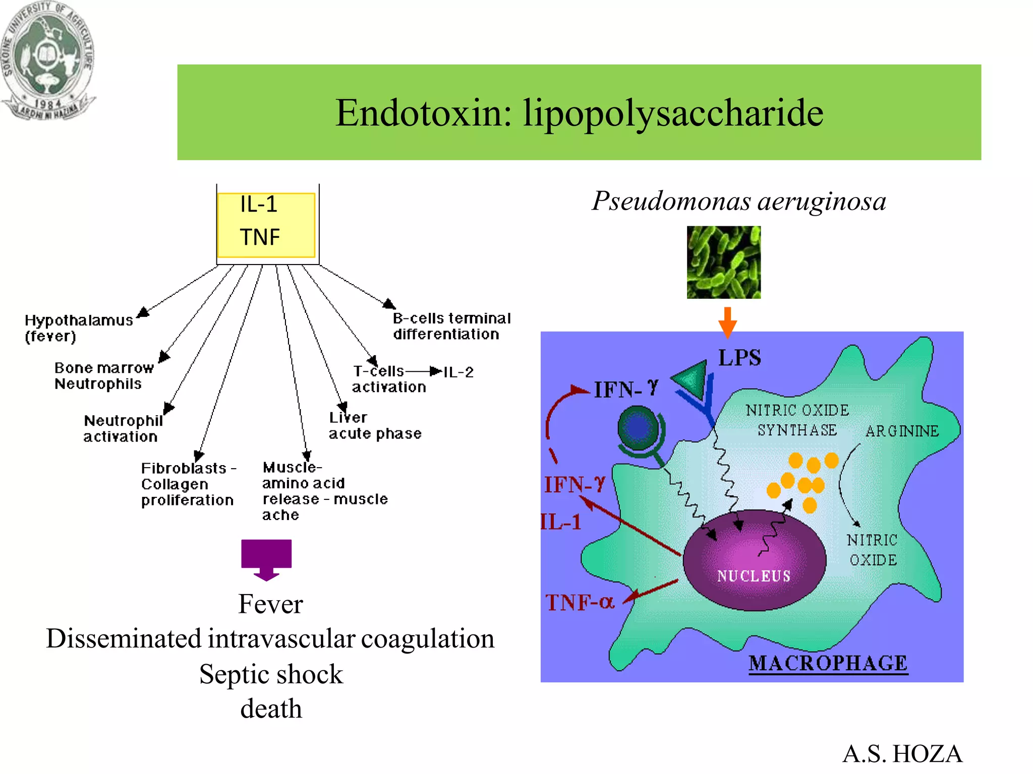 bacterialpathogenesis-120607022339-phpapp02.pptx