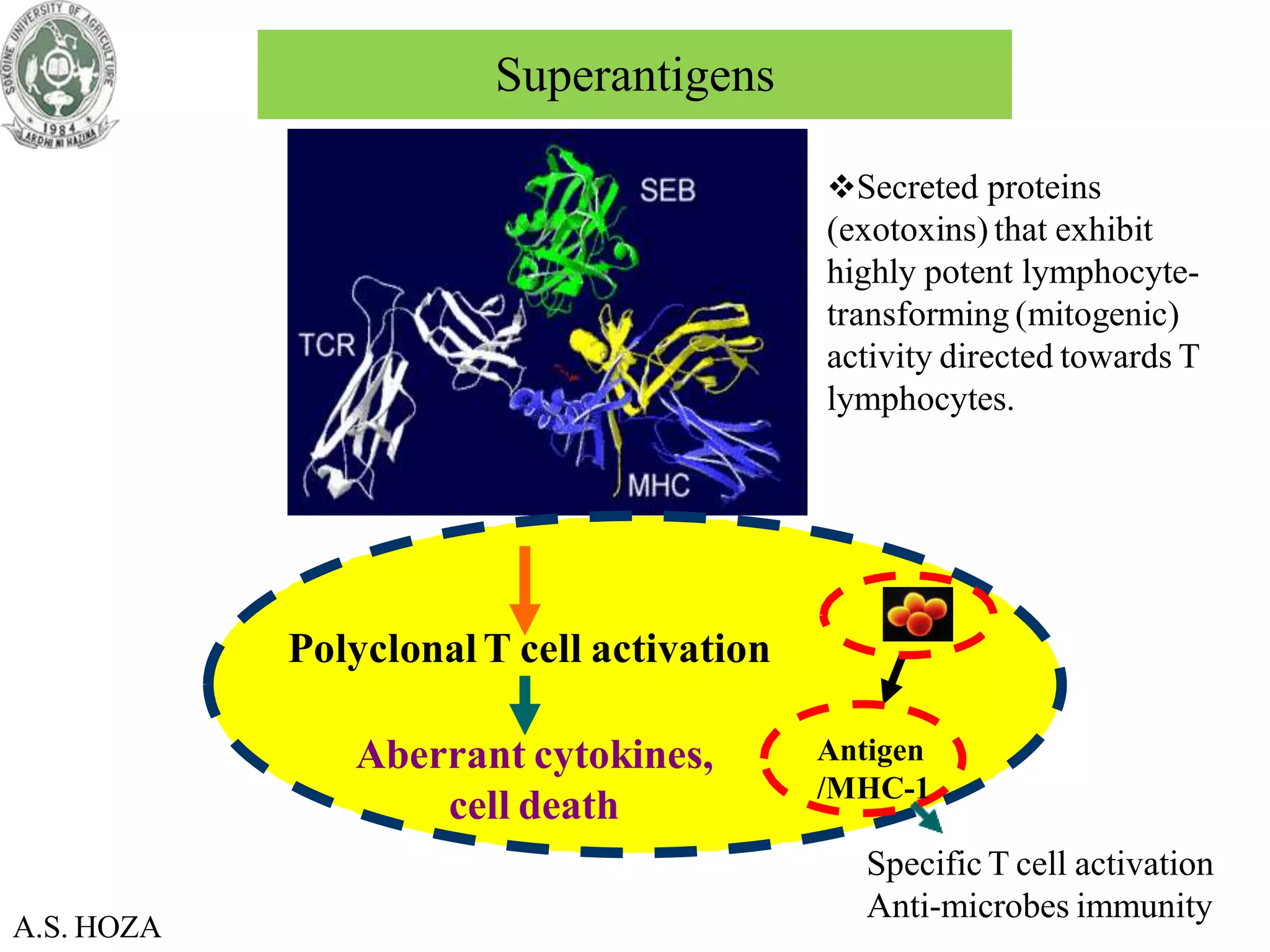 bacterialpathogenesis-120607022339-phpapp02.pptx