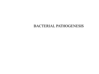 bacterialpathogenesis-120607022339-phpapp02.pptx