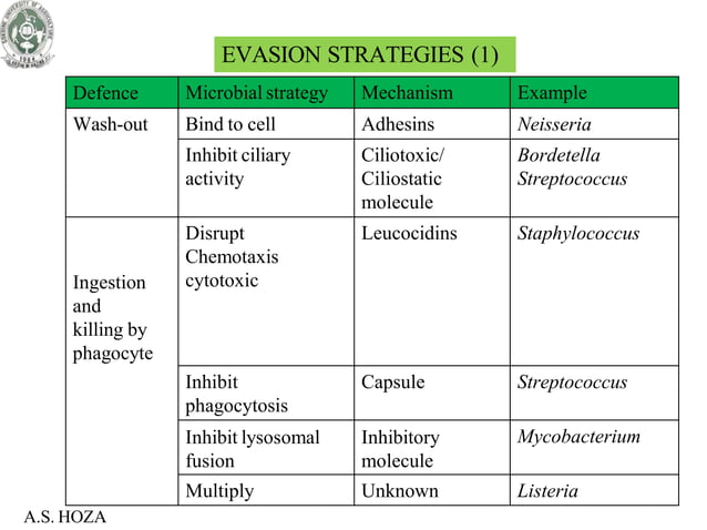 bacterialpathogenesis-120607022339-phpapp02.pptx