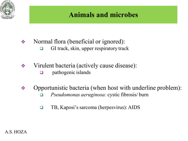 bacterialpathogenesis-120607022339-phpapp02.pptx