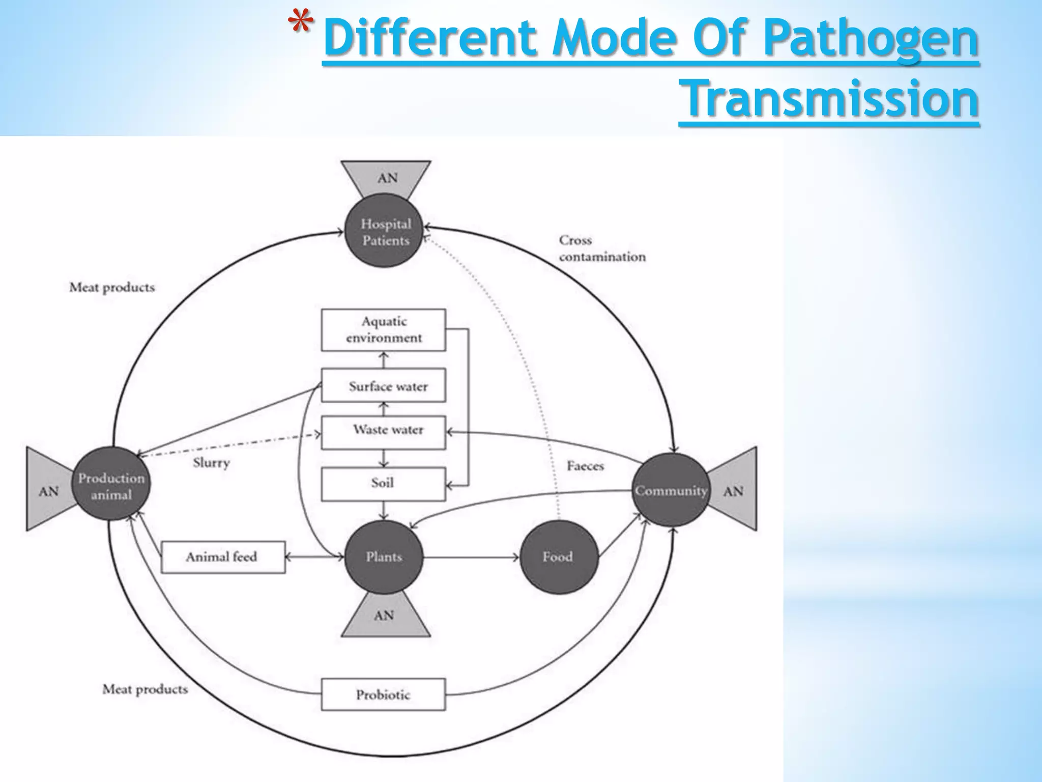 bacterialpathogenesis.pdf | Free Download