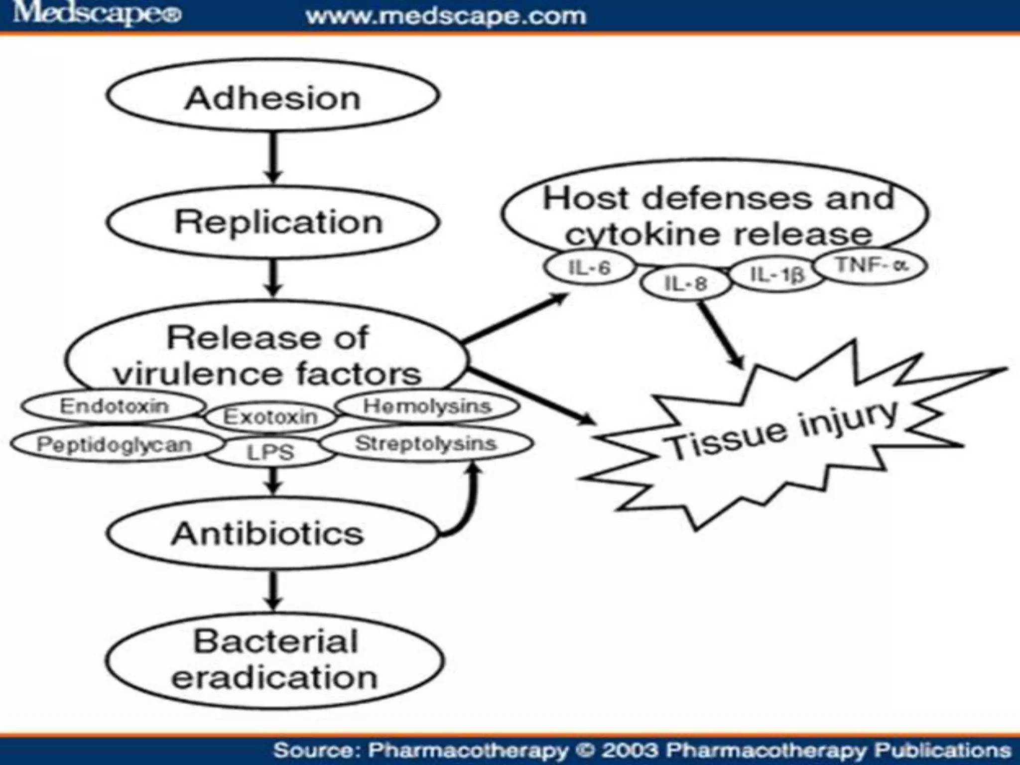 Bacterial Pathogenesis | PPT