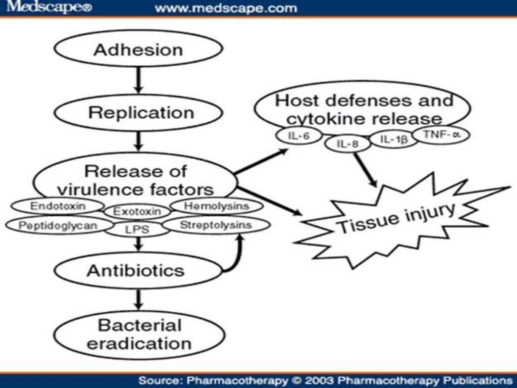 Bacterial Pathogenesis