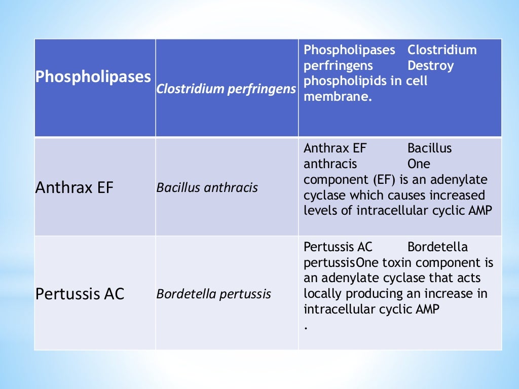 Bacterial Pathogenesis