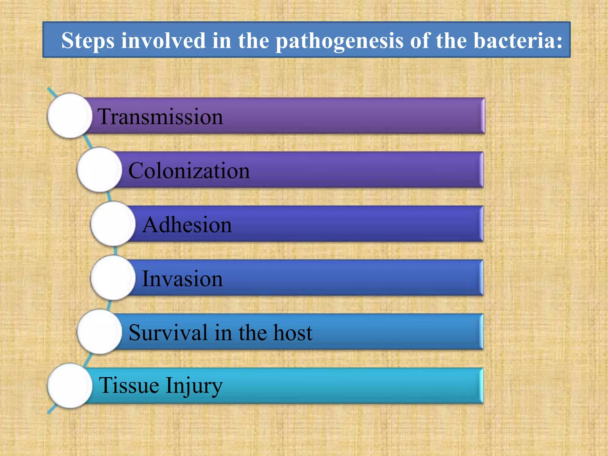 Bacterial pathogenesis | PPTX