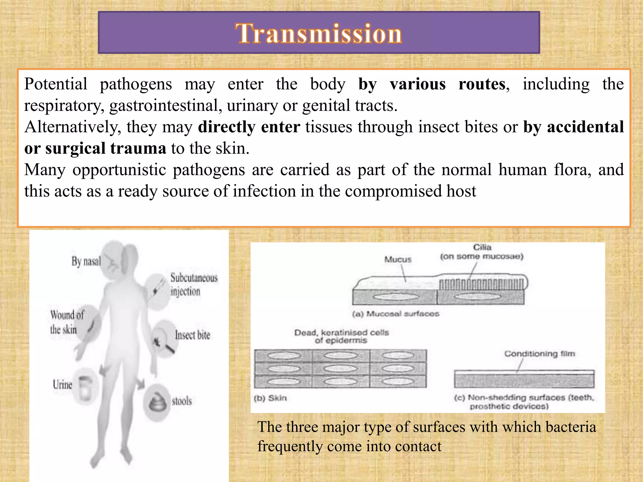 Bacterial pathogenesis | PPTX