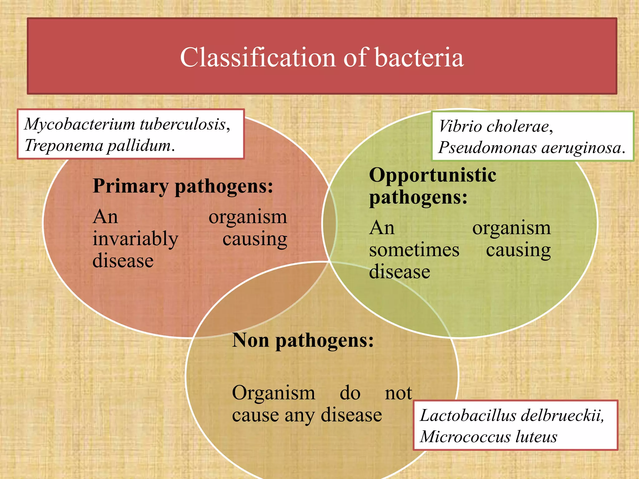 Bacterial pathogenesis | PPTX