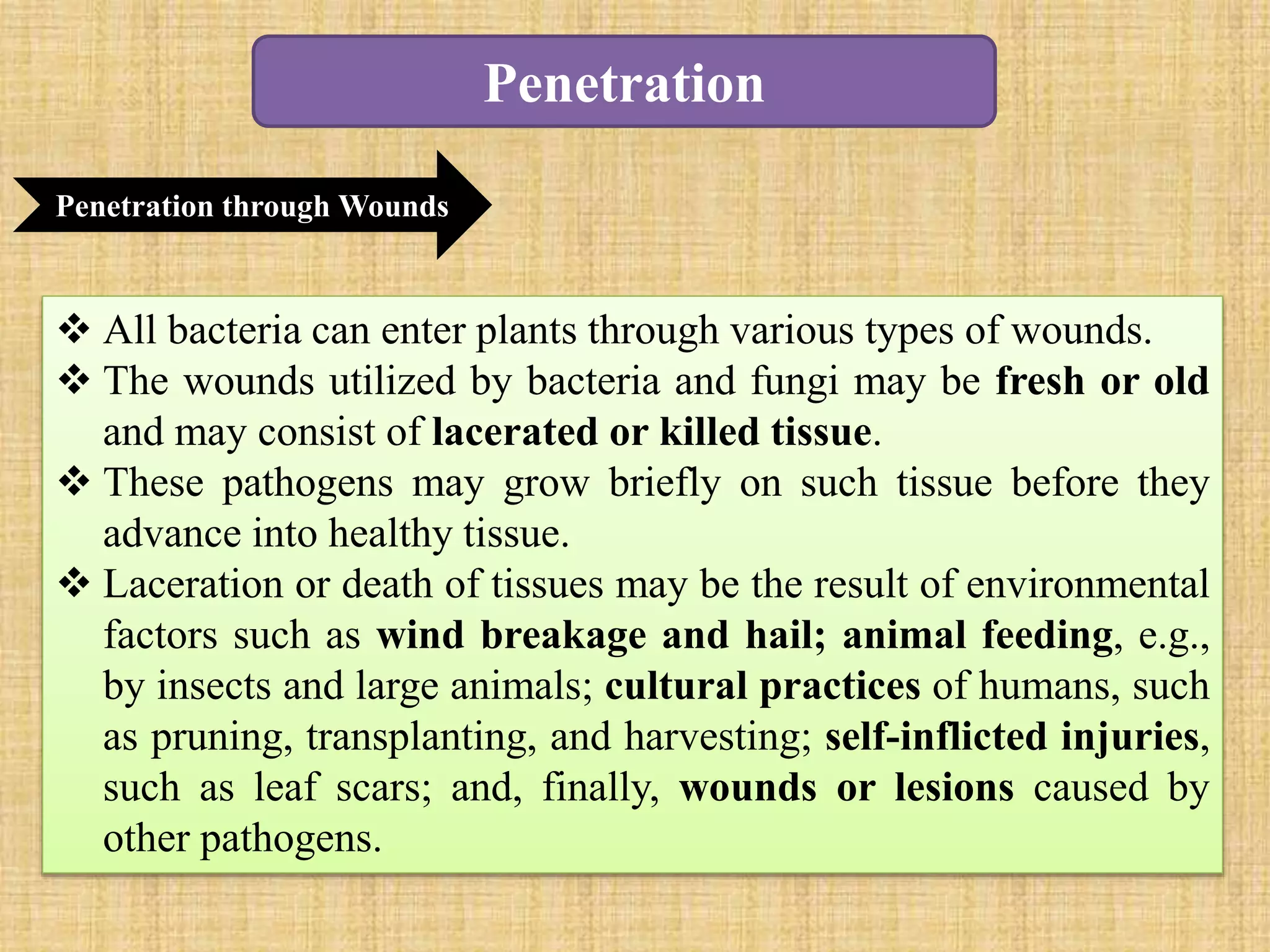 Bacterial pathogenesis | PPTX