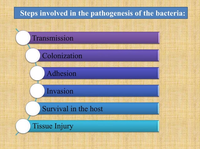 Bacterial pathogenesis | PPTX