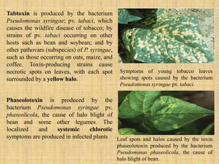 Bacterial pathogenesis | PPTX