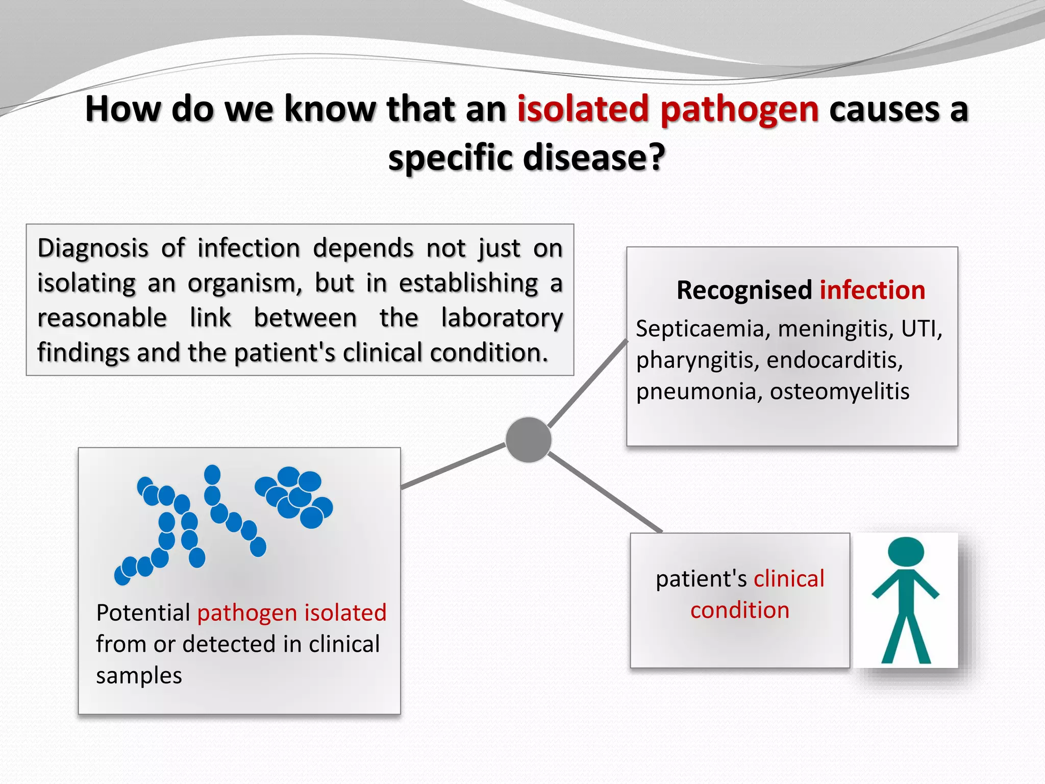 Bacterial Pathogenesis and Virulence Factors | PDF