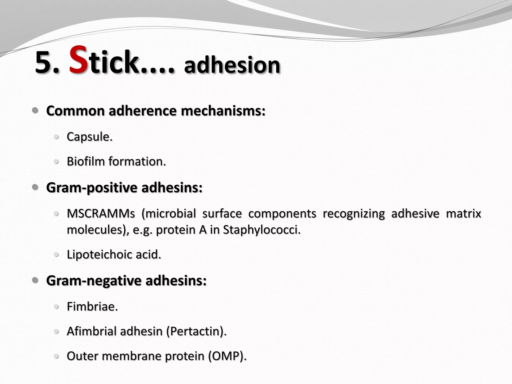Bacterial Pathogenesis and Virulence Factors | PDF