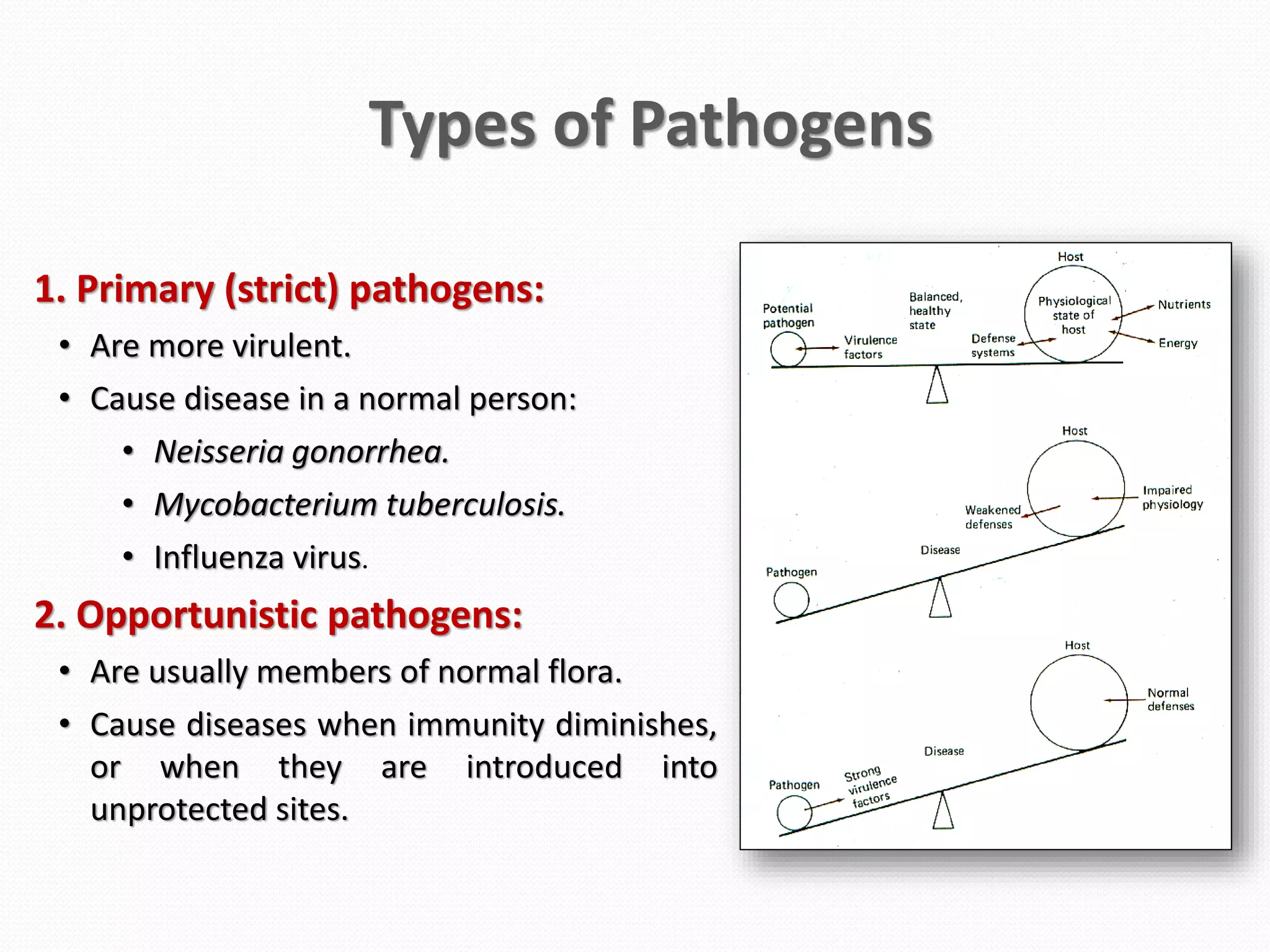 Bacterial Pathogenesis and Virulence Factors | PDF