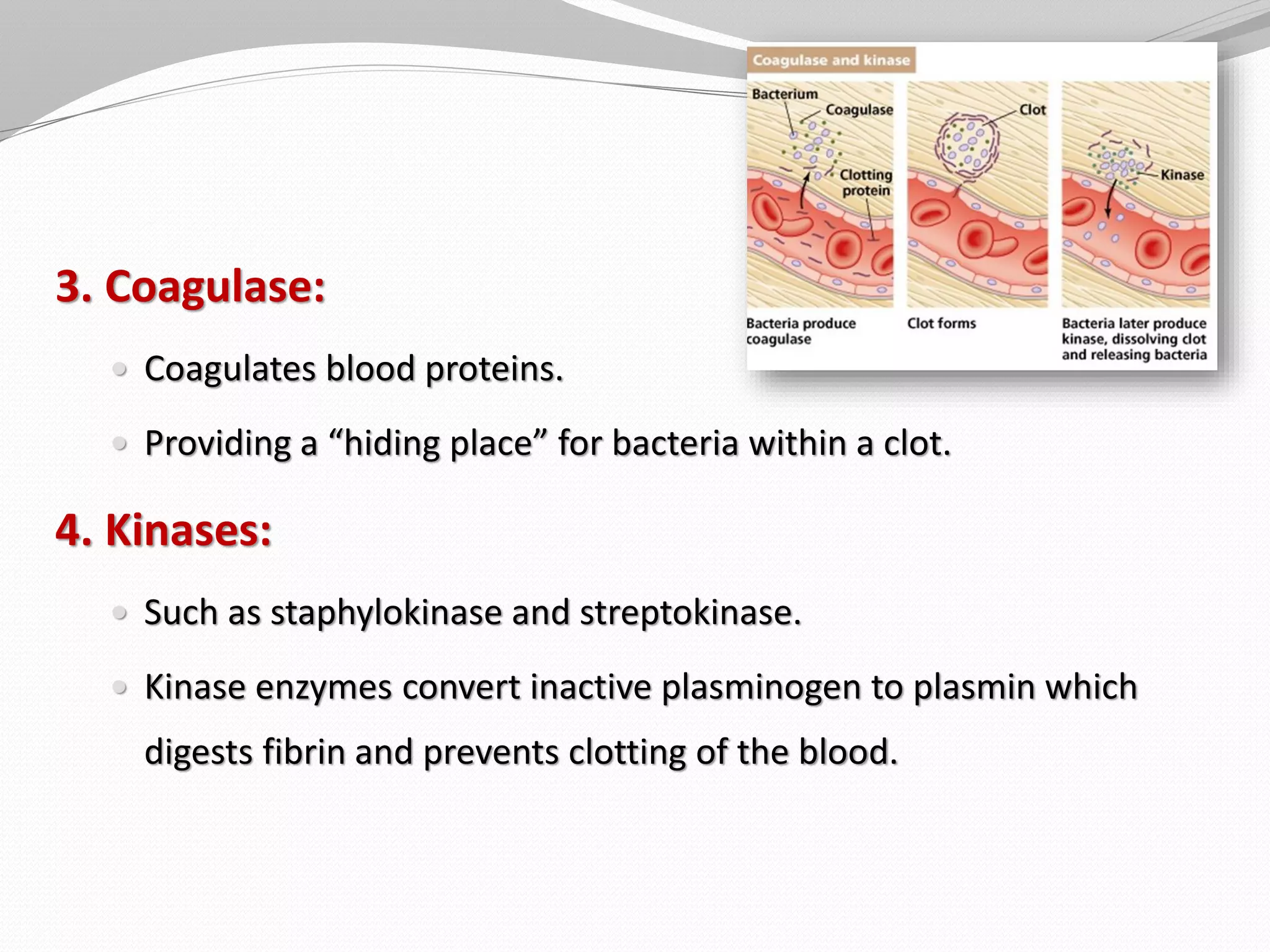 Bacterial Pathogenesis and Virulence Factors | PDF