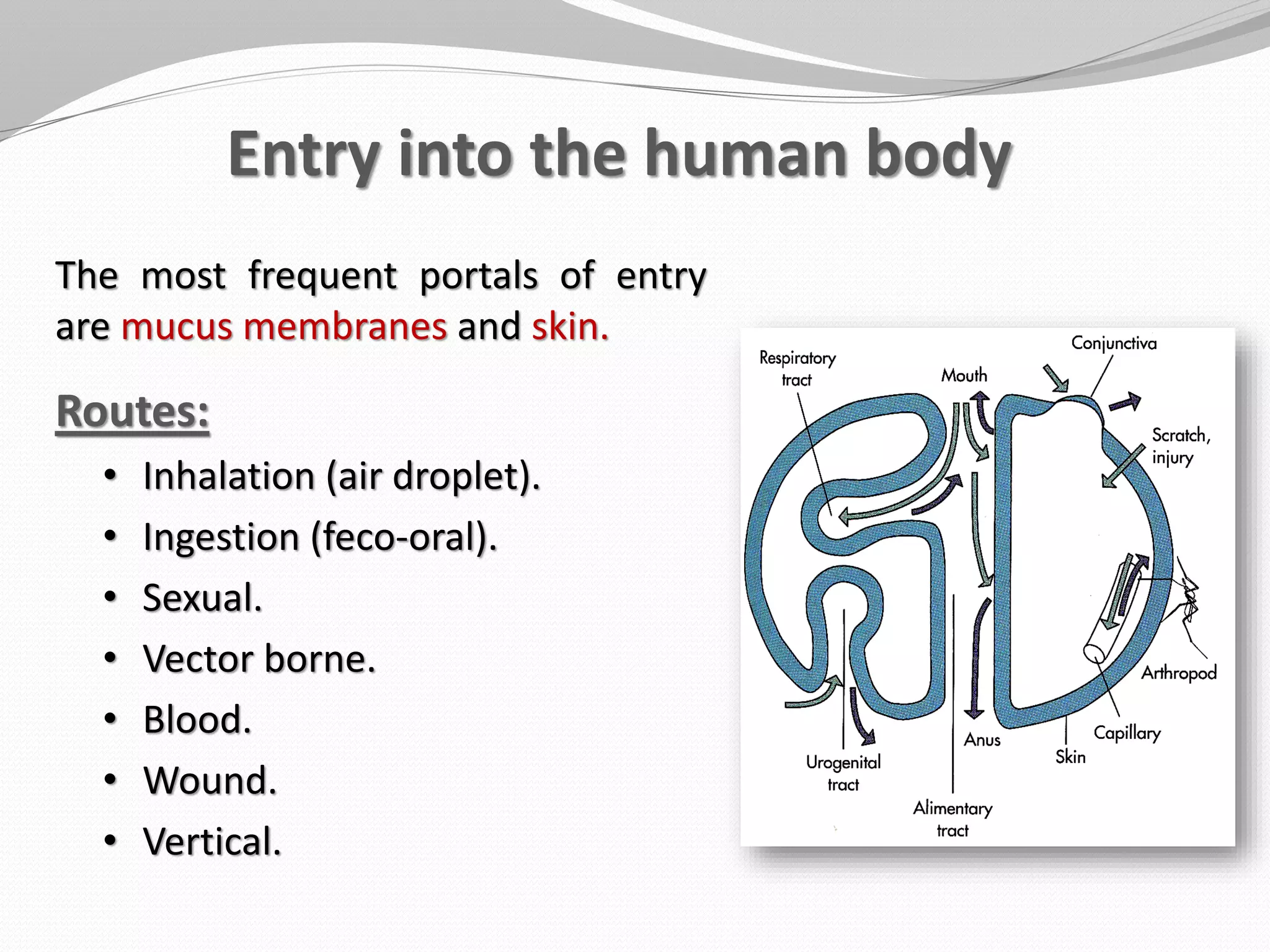 Bacterial Pathogenesis and Virulence Factors | PDF