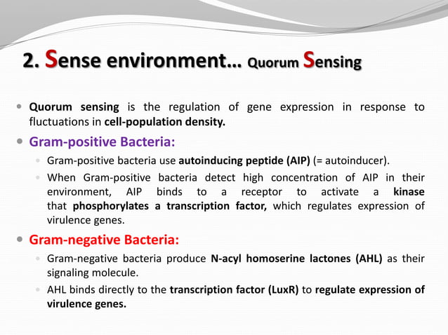 Bacterial Pathogenesis and Virulence Factors | PDF | Infectious Diseases | Diseases and Conditions