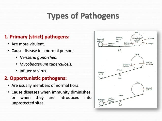 Bacterial Pathogenesis and Virulence Factors | PDF | Infectious ...