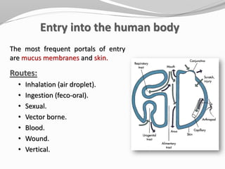 Bacterial Pathogenesis and Virulence Factors | PDF