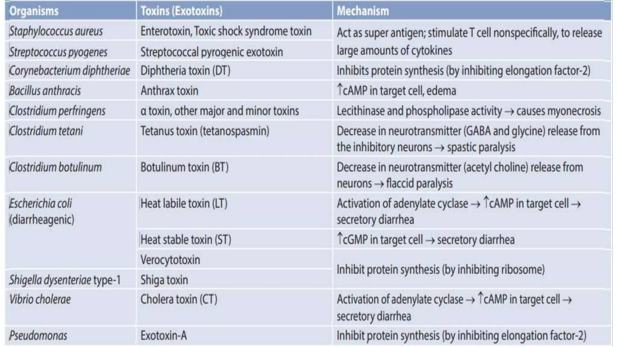 BACTERIAL PATHOGENICITY AND VIRULENCE FACTORS.pptx