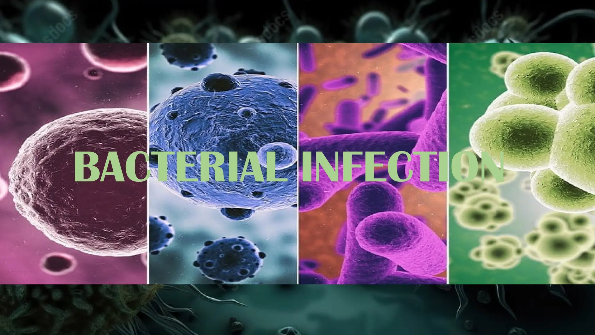 Bacterial pathogenicity (disease causing bacterial) | PPTX