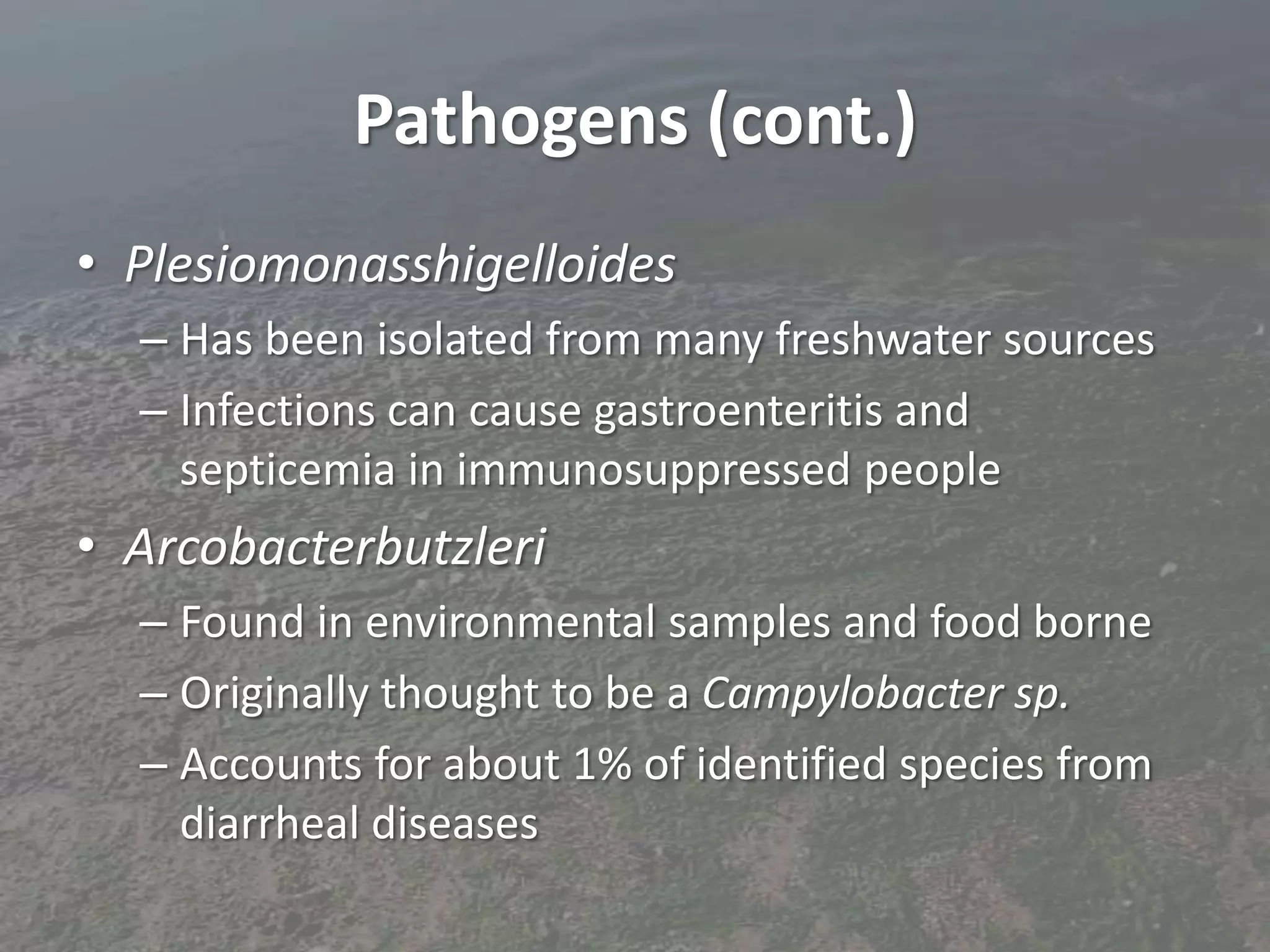Bacterial Pathogens In Algae | PPT