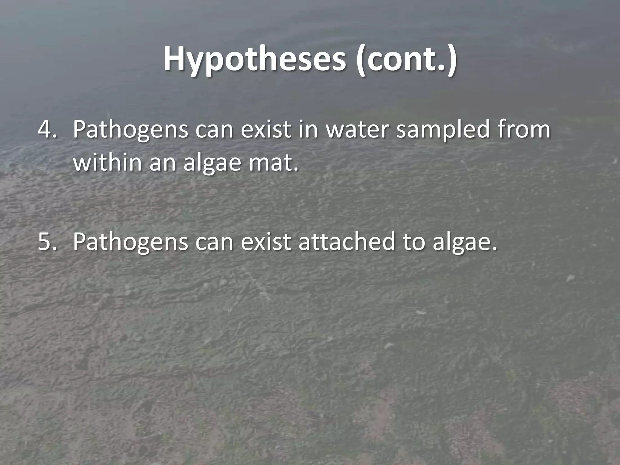Bacterial Pathogens In Algae | PPT