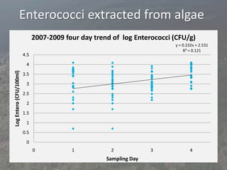 Bacterial Pathogens In Algae | PPT