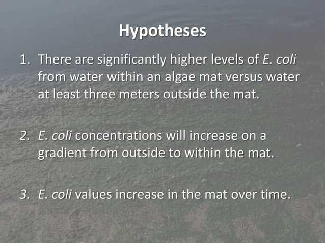 Bacterial Pathogens In Algae | PPT