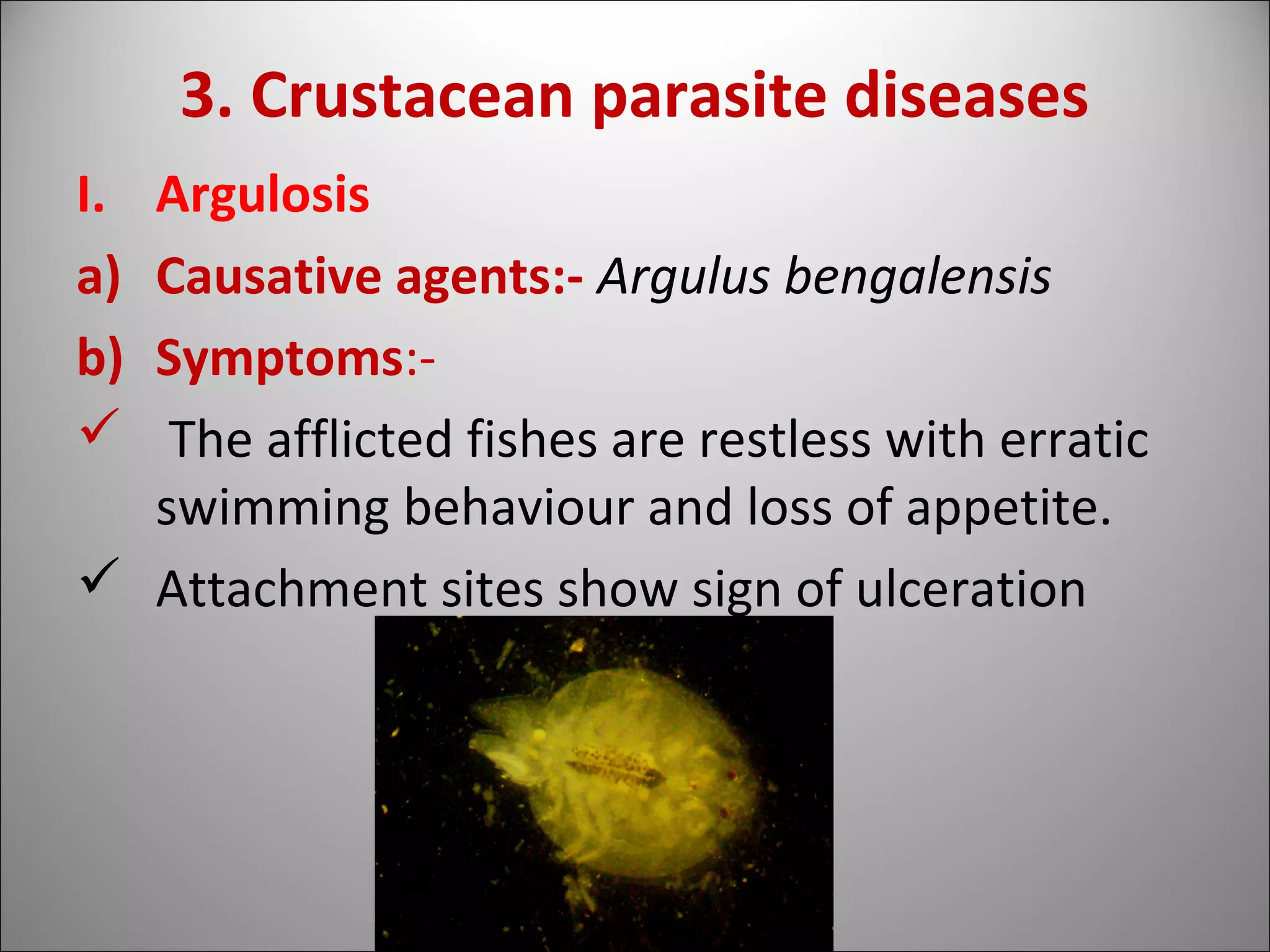 Pathogens of fish | PPT
