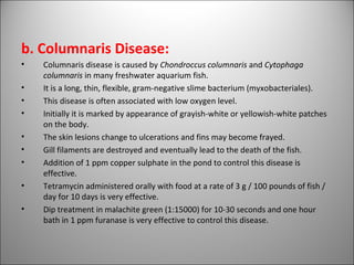 Pathogens of fish | PPT