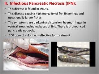 Pathogens of fish | PPT