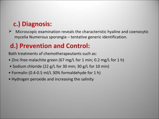 Pathogens of fish | PPT