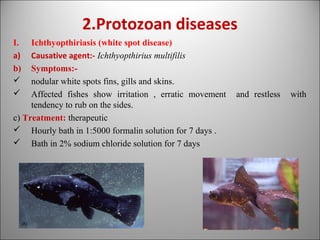 Pathogens of fish | PPT