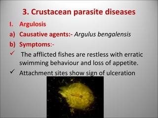 Pathogens of fish | PPT