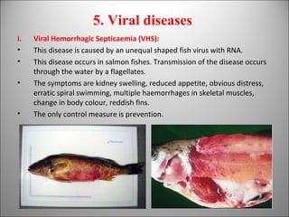 Pathogens of fish | PPT