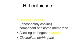 Bacterial Phathogenesis and associated notes .ppt