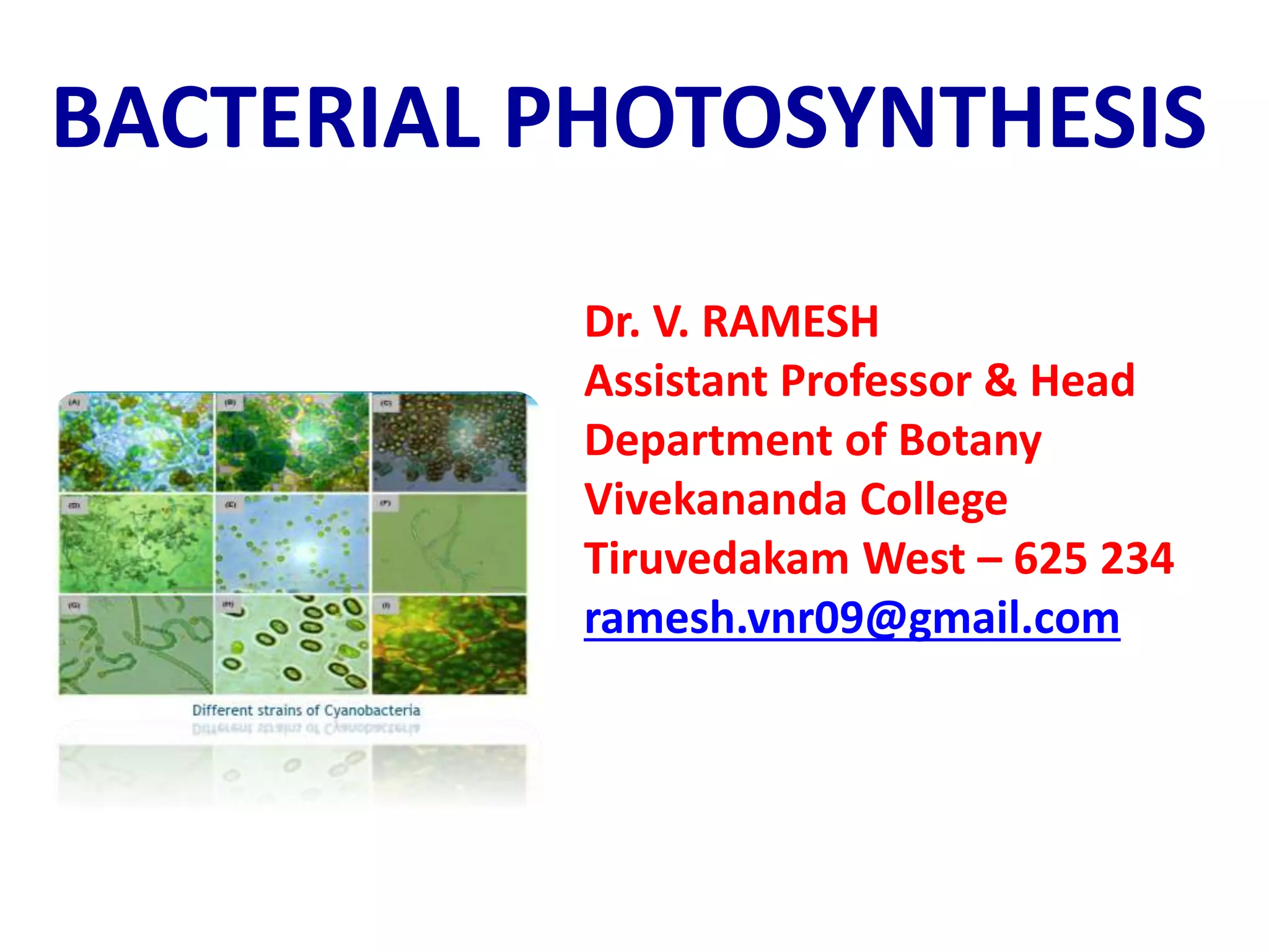 Bacterial photosynthesis | PPT