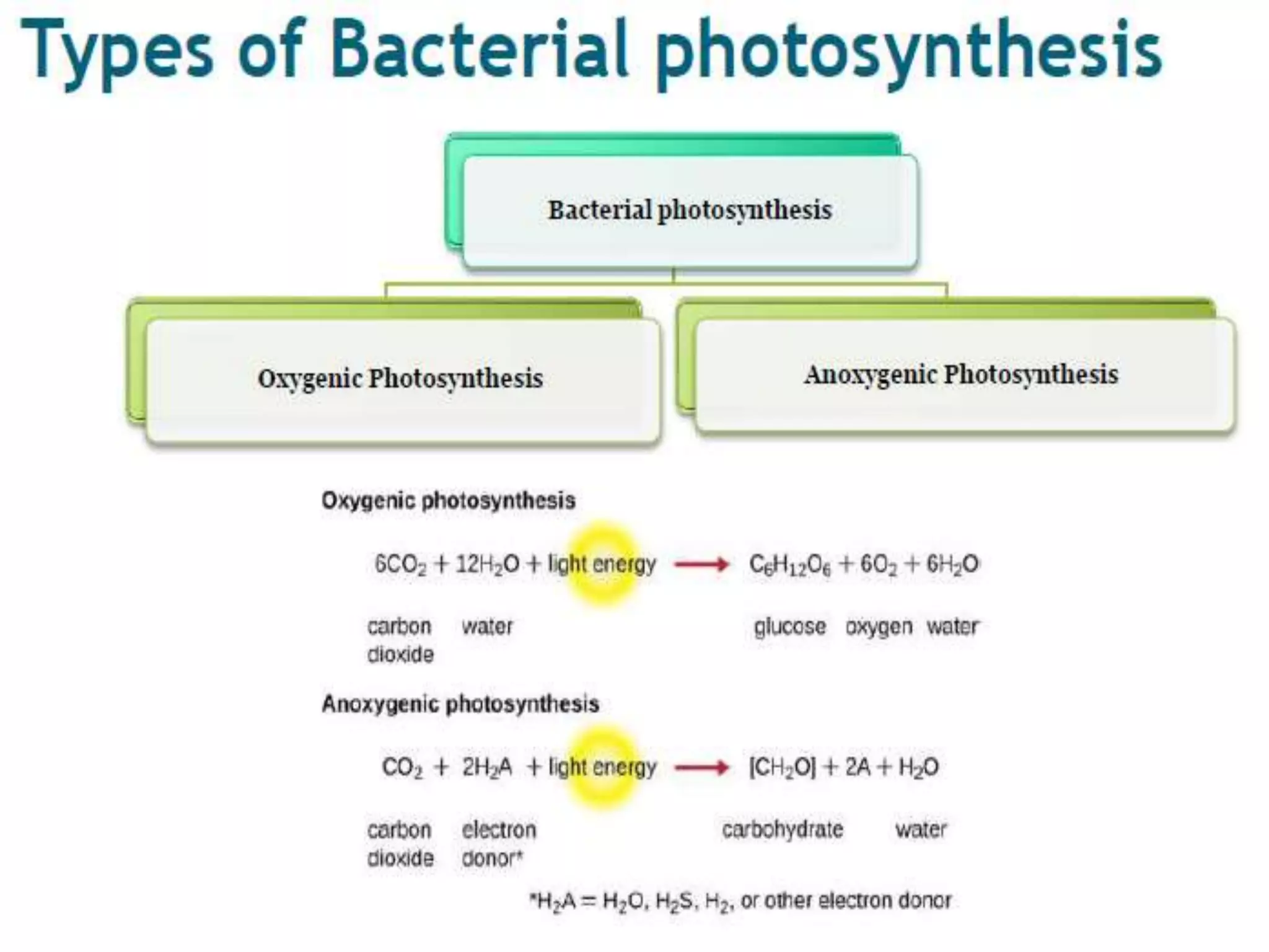 Bacterial photosynthesis | PPT